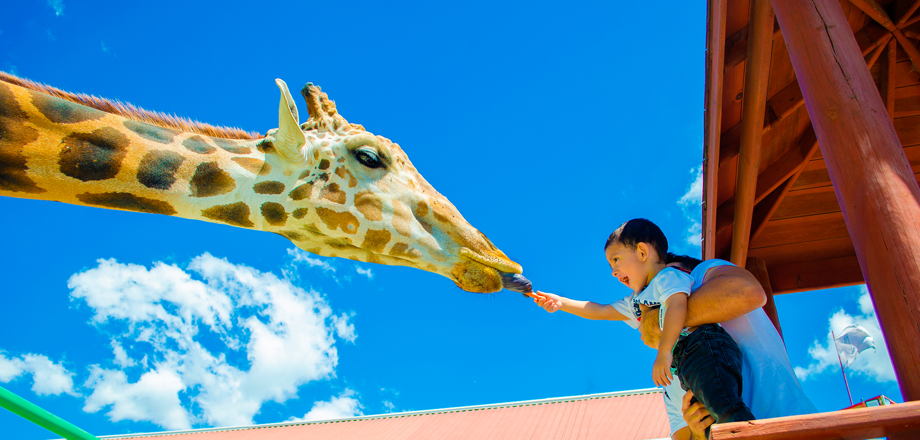 Xenpal - Centro de Conservación de Fauna